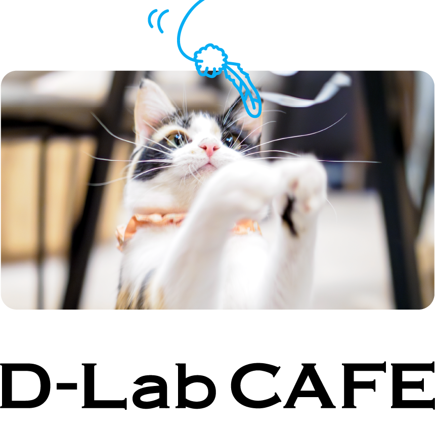 DXmobile | メンタリストDaiGoオリジナルボックスに入った、モバイルWiFi